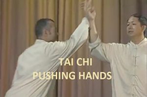 Pushing Hands | Tai Chi Bali